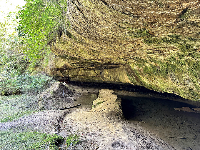 This ancient rock overhang has been sheltering travelers since mastodons roamed Ohio. Nature's first motel, minus the continental breakfast.