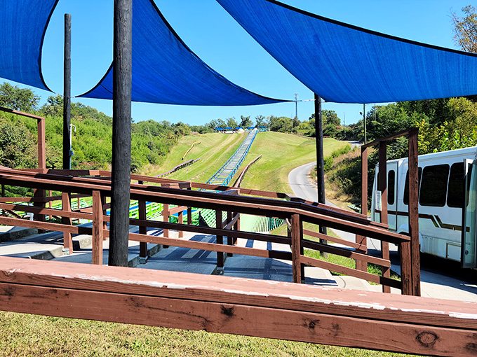 From this shaded viewing deck, spectators enjoy the schadenfreude of watching friends and family flail about inside transparent spheres.