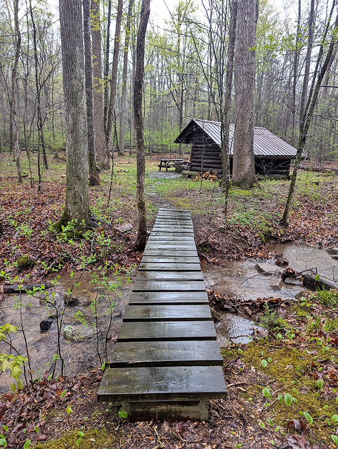 Rustic log shelter connected to the forest by a simple wooden footbridge. Like something from a fairy tale, minus the witch with questionable real estate motives.