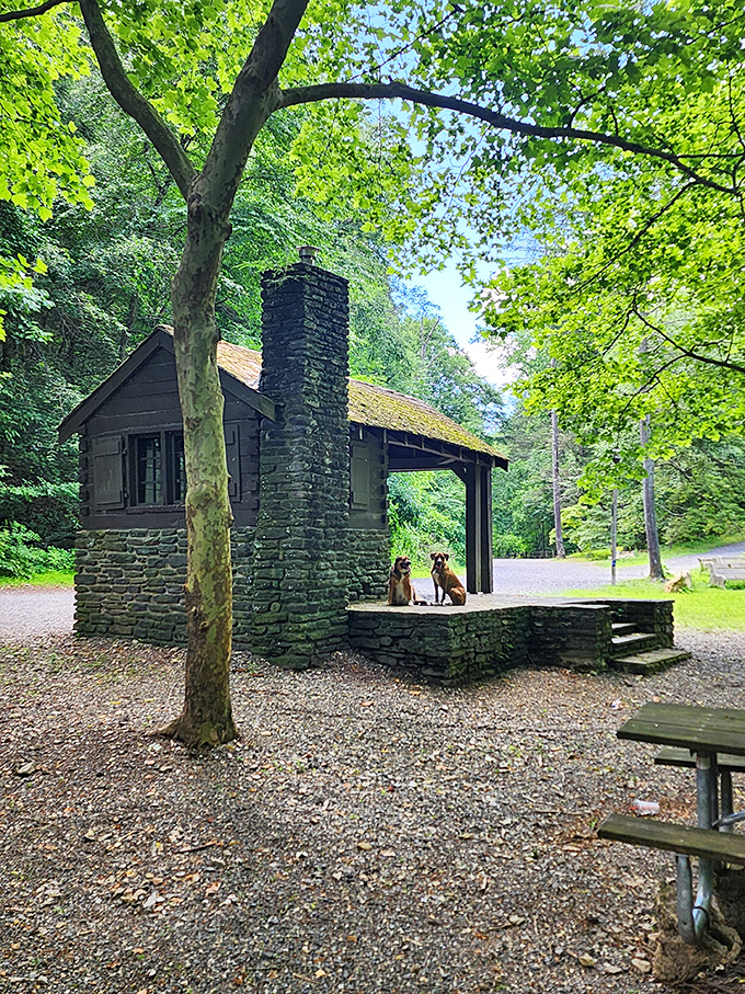 Rustic luxury accommodations: This charming stone shelter along the trail offers a perfect rest stop, complete with canine doormen apparently included.
