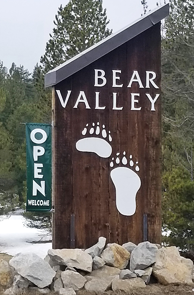 When your town sign features bear paws, you know you've arrived somewhere special. Nature's branding department really nailed this one.