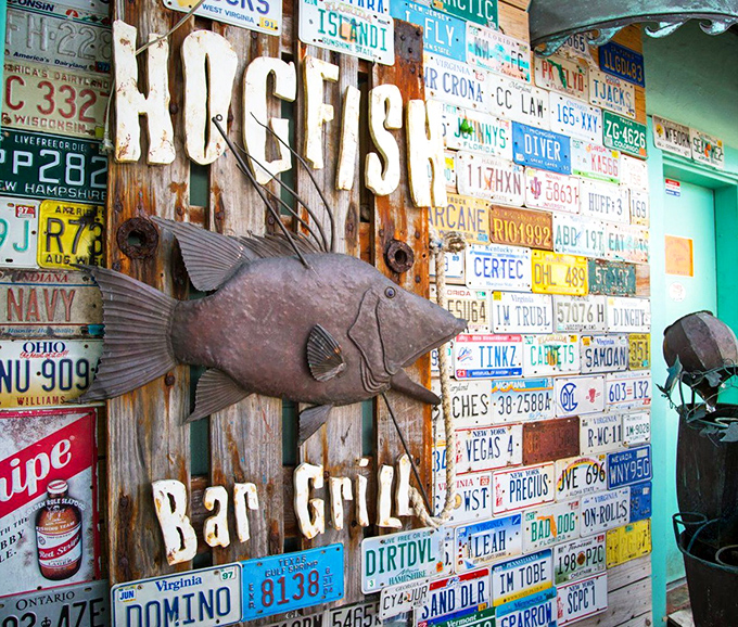 The wall of license plates and metal hogfish sculpture create the kind of authentic décor that corporate restaurant chains spend millions trying to replicate.