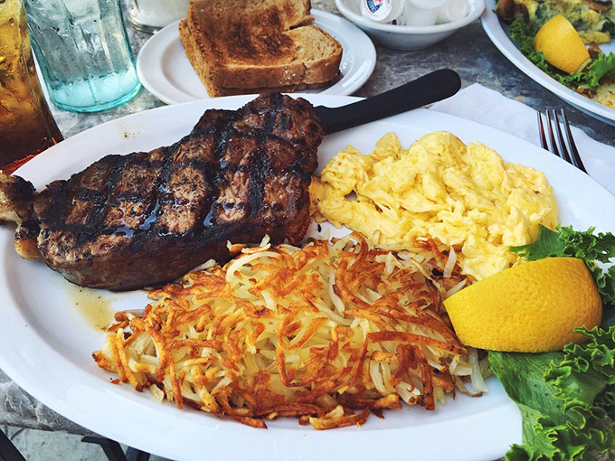 This plate has everything a hungry human could desire: a steak that means business, eggs with sunset-yellow yolks, and hash browns crisped to golden perfection.