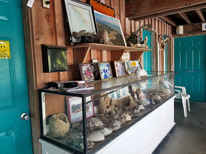 Decor that screams "we caught this stuff" meets "yard sale chic"&mdash;somehow it all makes perfect sense with fried fish.