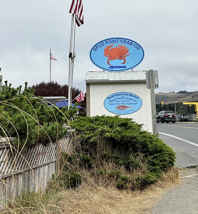 The sign that launches a thousand detours &ndash; Spud Point's iconic crab logo has become a beacon for seafood lovers traveling Highway 1.