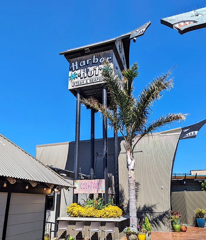 Bold signage announces this waterfront treasure where fish and chips dreams become delicious, golden-brown reality.