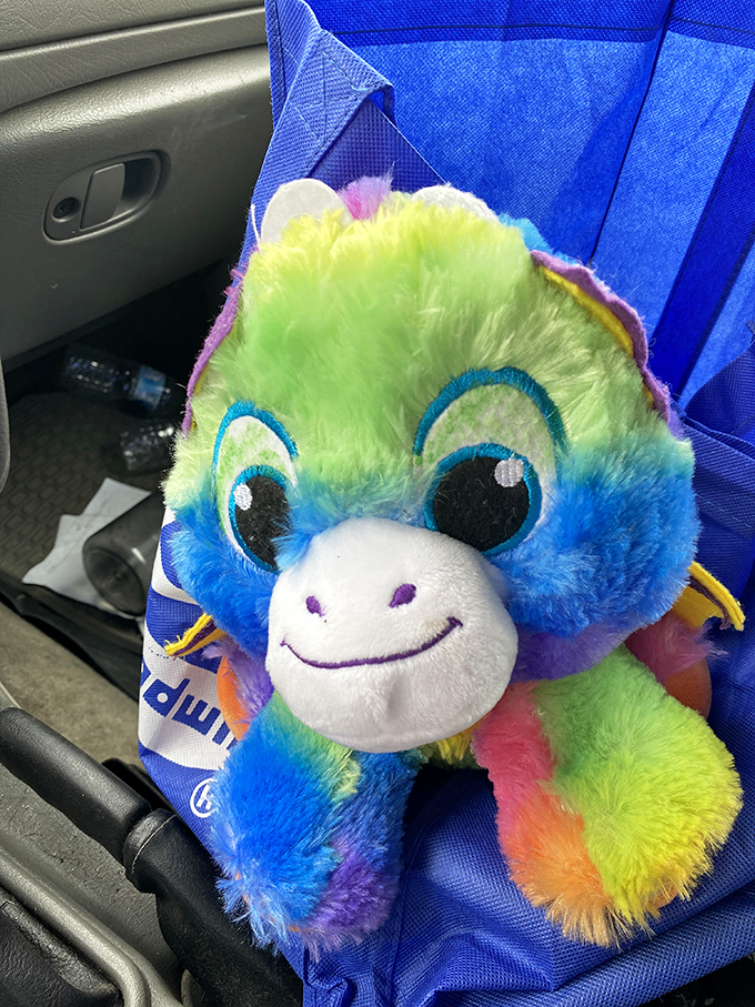 Every stuffed animal has a story. This rainbow-hued monkey found a new home, proving thrift stores are where childhood joy gets recycled.