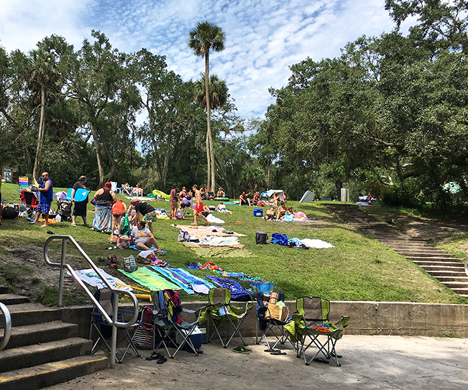 The grassy banks transform into Florida's most democratic beach club – no membership required except a willingness to embrace sunshine.