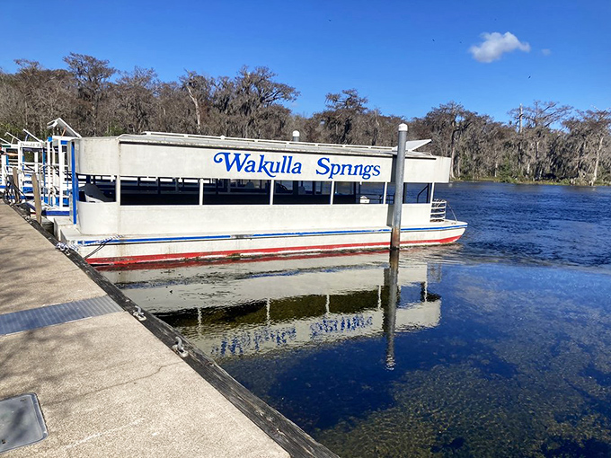 The iconic Wakulla Springs tour boat awaits its next adventure, ready to reveal underwater wonders through its glass bottom to wide-eyed passengers.