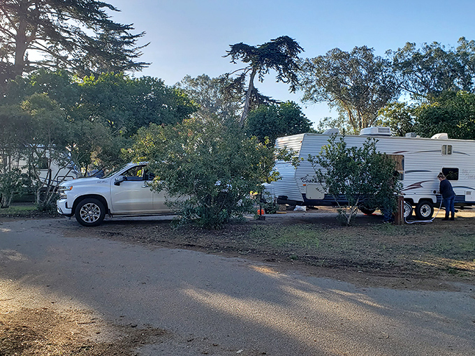 Camping California-style means waking up to eucalyptus-scented mornings just steps away from some of the coast's most spectacular views.