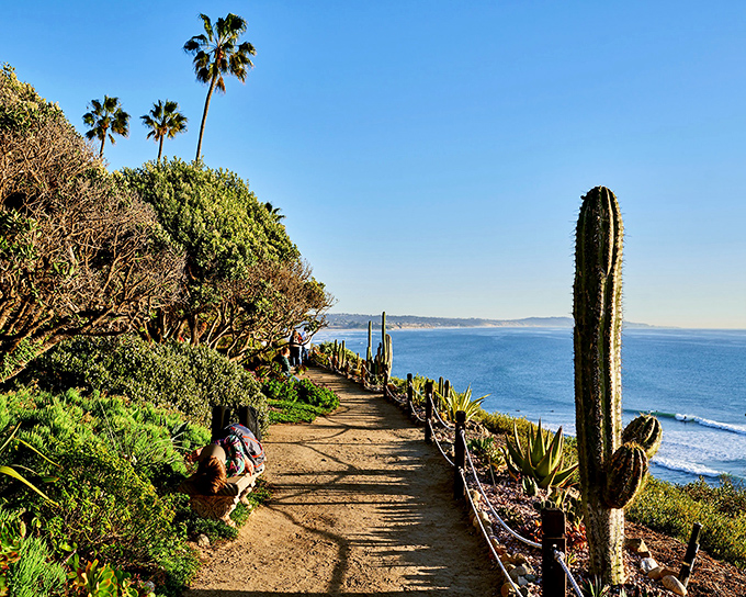 Coastal trails lined with cacti and succulents create nature's version of a red carpet, leading to front-row seats for the Pacific's daily performance.