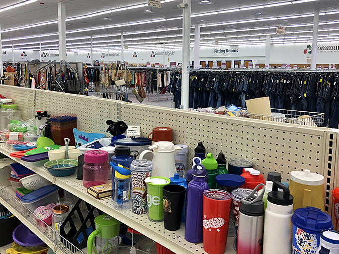 Kitchen gadgets galore! Find that perfect tumbler or coffee mug to replace the one your cat mysteriously knocked off the counter.