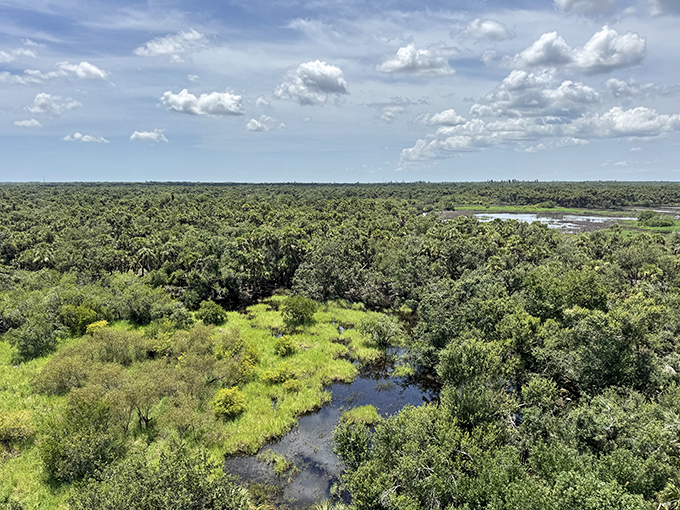 The view that makes every stair climb worthwhile. Mother Nature's panoramic screensaver stretches to the horizon, no subscription required.