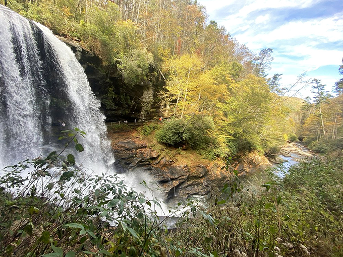Autumn's golden frame makes every waterfall look like a masterpiece painted by the world's greatest artist.