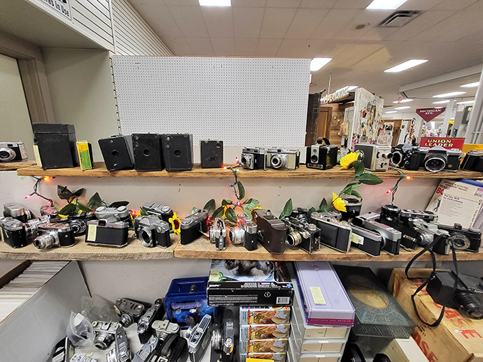 These cameras captured first steps, family vacations, and hairstyles we'd rather forget existed.