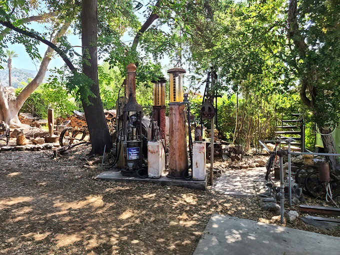 These vintage gas pumps haven't dispensed fuel in decades, but they're still powering imaginations. Yesterday's technology becomes today's sculptural statement.