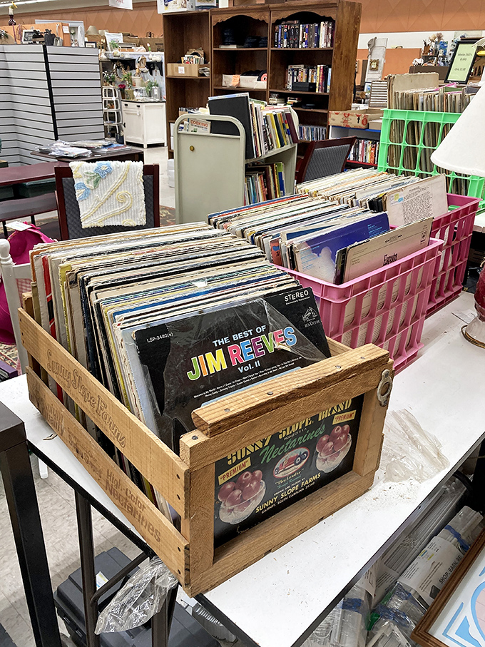 Vinyl treasures spinning tales from when album art was bigger than your smartphone screen.