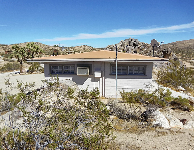 This unassuming desert outpost holds the secrets of the Mojave&mdash;like a library where the books are written in cactus and stone.