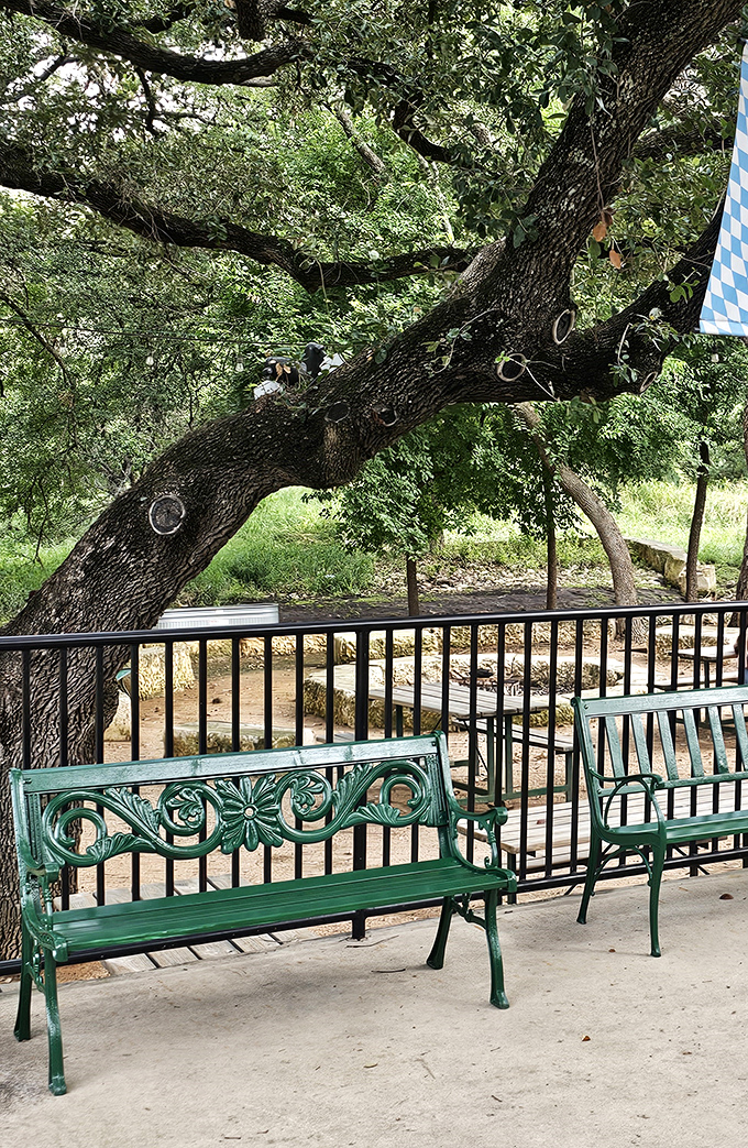 A shady spot to contemplate life's big questions, like "How many pancakes is too many?" The answer is always "one more."