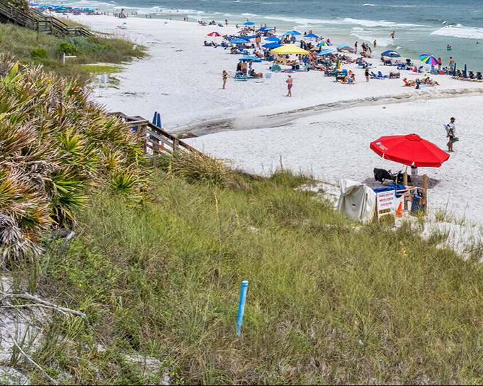 Beach umbrellas dot the shoreline like confetti, where retirees and families alike discover that paradise doesn't check your bank balance at the door.