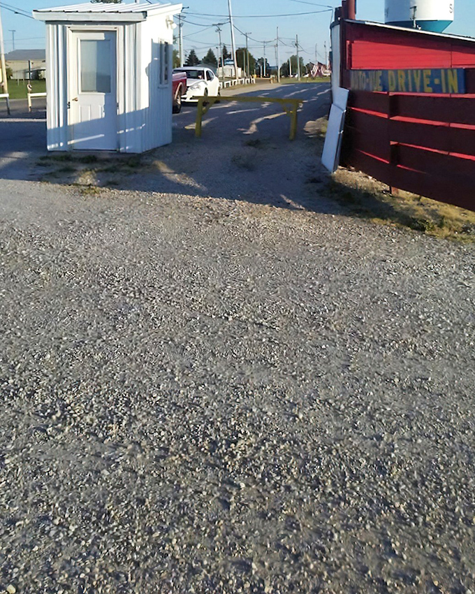 The Sidney Auto Vue sign glows against a cotton candy sunset – nature providing the perfect opening act.