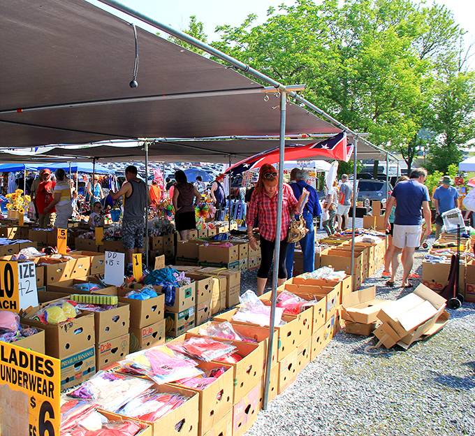 Bargain boxes lined up like soldiers! This outdoor vendor at Blue Ridge Flea Market organizes clothing and household goods for easy browsing.