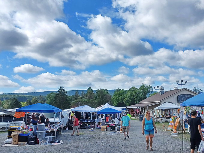 Blue skies and bigger bargains! Blue Ridge Flea Market's outdoor vendors create a festive shopping experience with mountains as their backdrop.