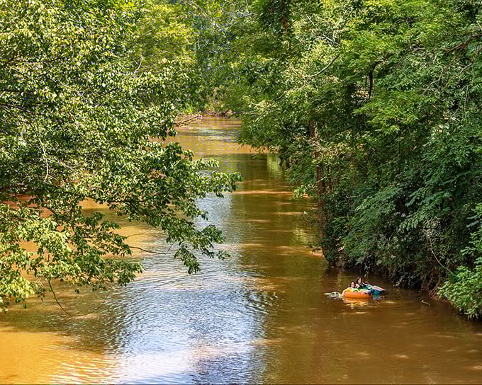 The peaceful rivers around Clarksville provide perfect fishing spots where catching nothing still counts as a good day.