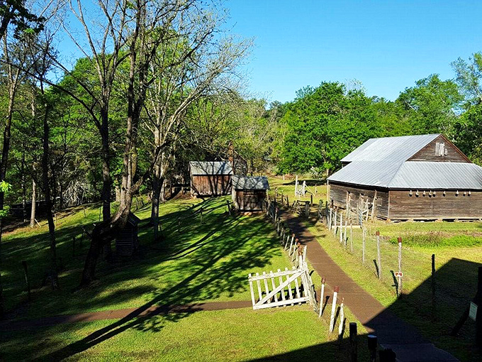 Juliette's rustic charm comes alive in these weathered wooden buildings that look exactly like what Hollywood ordered for small-town authenticity.