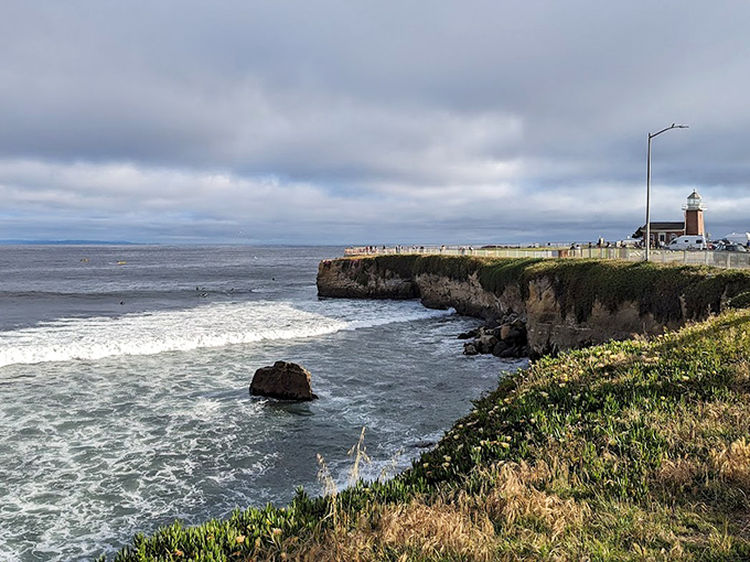 Santa Cruz's lighthouse beach offers dramatic views and playful waves. Those rocks were made for doggy king-of-the-mountain games.