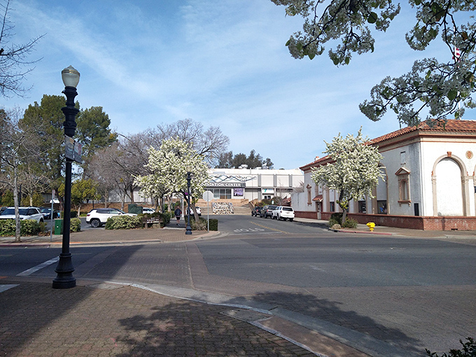 Spring blossoms frame Oroville's quiet streets where Sierra Nevada foothills create the perfect backdrop for small-town California living.