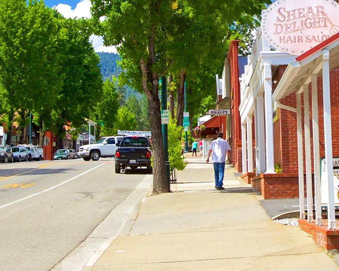 Shear Delight indeed! Redding's tree-lined streets offer mountain views with your haircut and the kind of small-town sidewalks where neighbors actually say hello.
