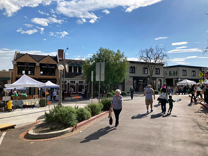 Sierra Madre's tree-lined streets and classic storefronts create a Norman Rockwell painting come to life in Southern California.