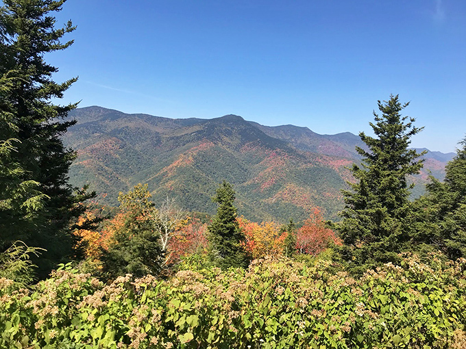 Tellico Plains' rolling meadows stretch toward mountains that seem painted on the horizon.