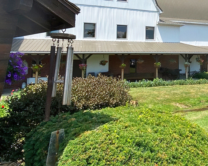 The Barn Restaurant's weathered siding tells stories of countless satisfied diners. Authentic farm-to-table before it was trendy!