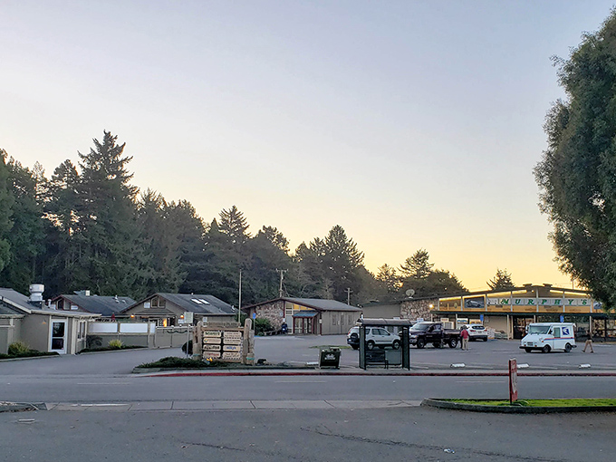 Trinidad's clifftop perch offers front-row seats to some of nature's most spectacular ocean performances.