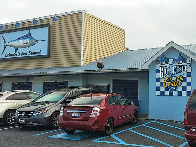 The blue and white checkered sign of Big Fish Grill has become shorthand for "prepare your taste buds for a seafood celebration."