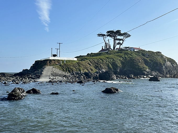 Perched dramatically on its rocky throne, this lighthouse symbolizes Crescent Beach's rugged beauty and surprising affordability.