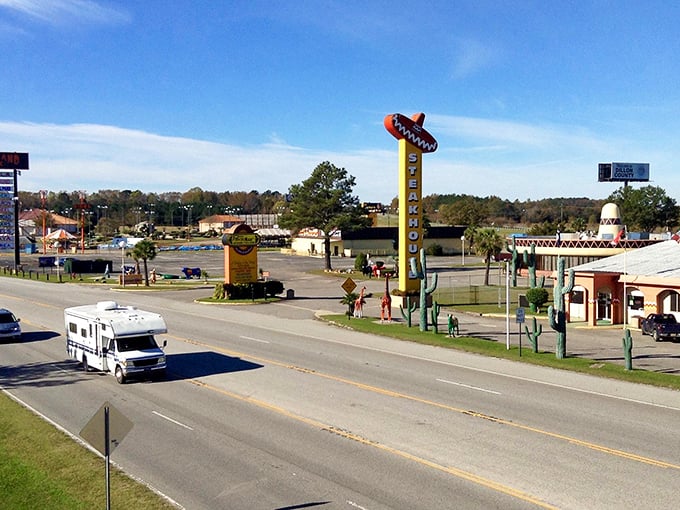 The golden arches and local businesses coexist peacefully, proving you can have convenience without city costs.