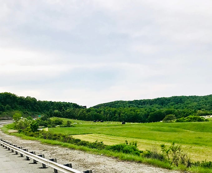 That lake is so perfect it makes you wonder if Bob Ross painted it into existence himself.