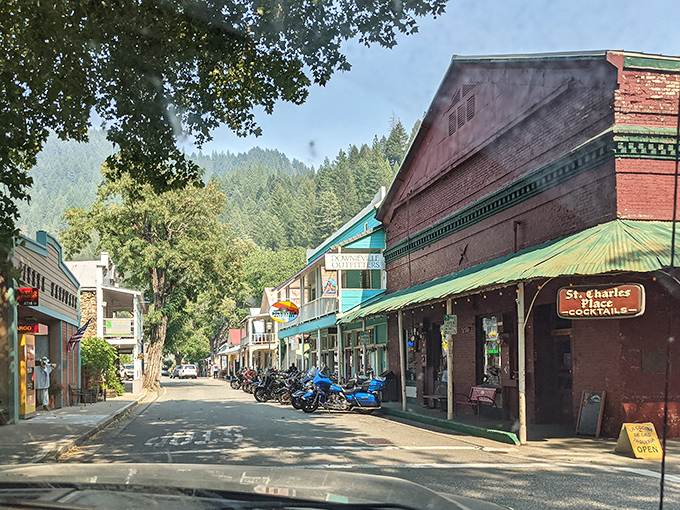 The Sierra sunshine illuminates Downieville's historic buildings, where the Gold Rush spirit lives on in every wooden storefront.
