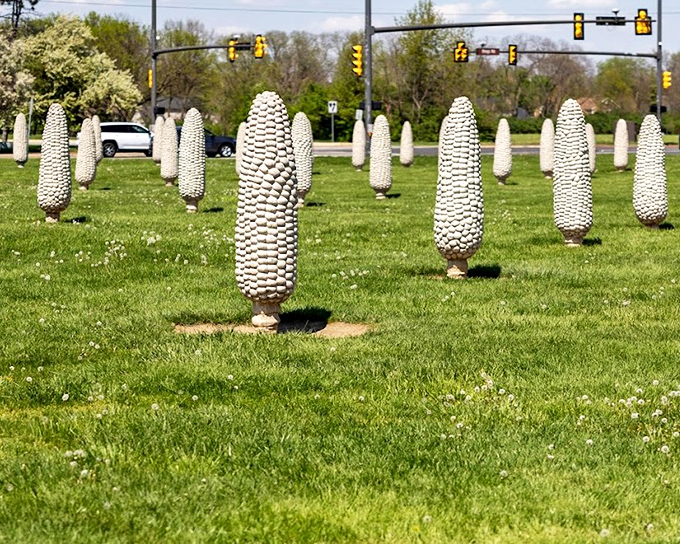 This sprawling installation transforms suburban landscape into a playful tribute to the Midwest's most important crop.