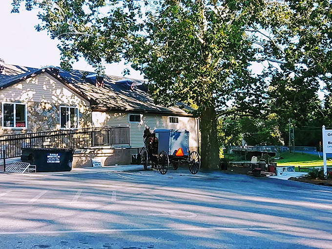 An Amish buggy parked outside this Gordonville shop creates a perfect snapshot of where tradition meets everyday life.