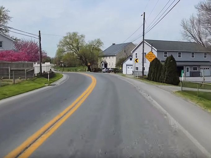 A winding country road leads through Amish farmland, where each curve promises another glimpse of rural tranquility.