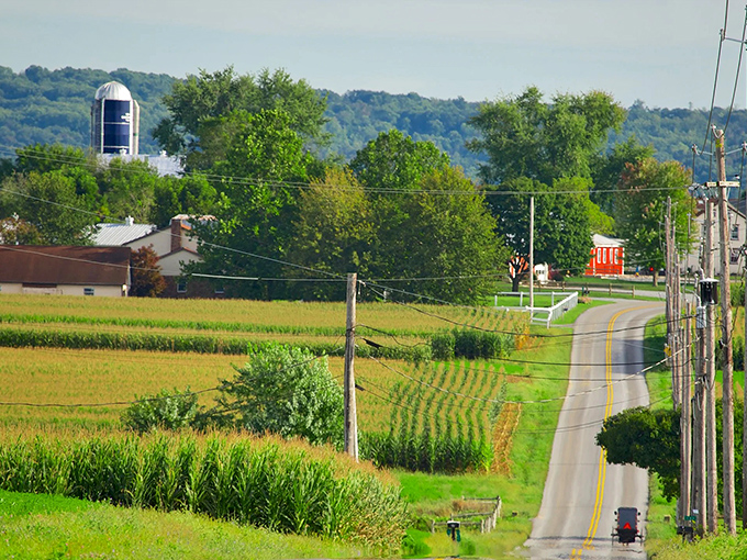 The rolling farmland of Gordonville showcases the careful stewardship that has kept this landscape beautiful for generations.