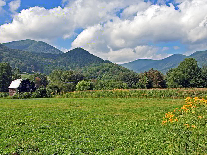 The rolling farmland around Maggie Valley showcases why people fall in love with mountain living. Green fields, blue mountains, perfect harmony!