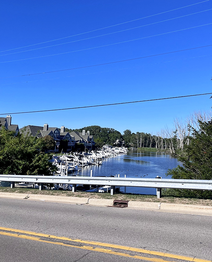 New Buffalo's charming downtown invites you to wander. Those weathered storefronts hold treasures waiting to be discovered!