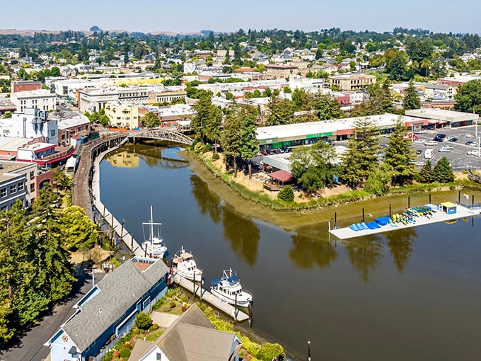 This aerial view shows how the Petaluma River shaped this historic agricultural hub.