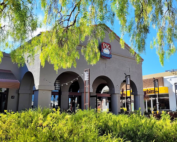 Sunlight dapples through trees outside Pig in a Pickle. Nature's perfect lighting for your BBQ feast.