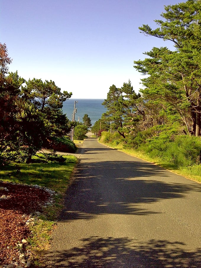 A winding road to coastal paradise. Just one more curve and you'll be saying, "Why don't we live here?"